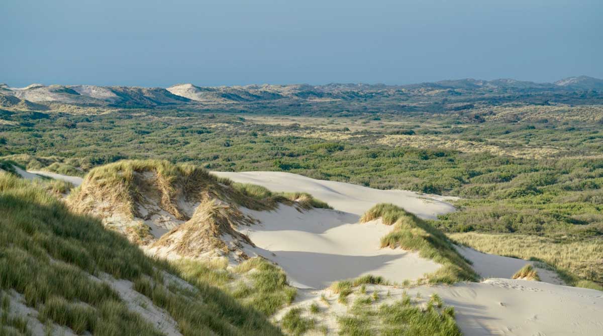 Duin- en kustlandschap
