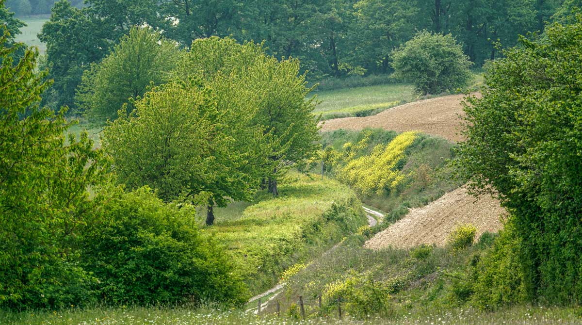 Heuvellandschap