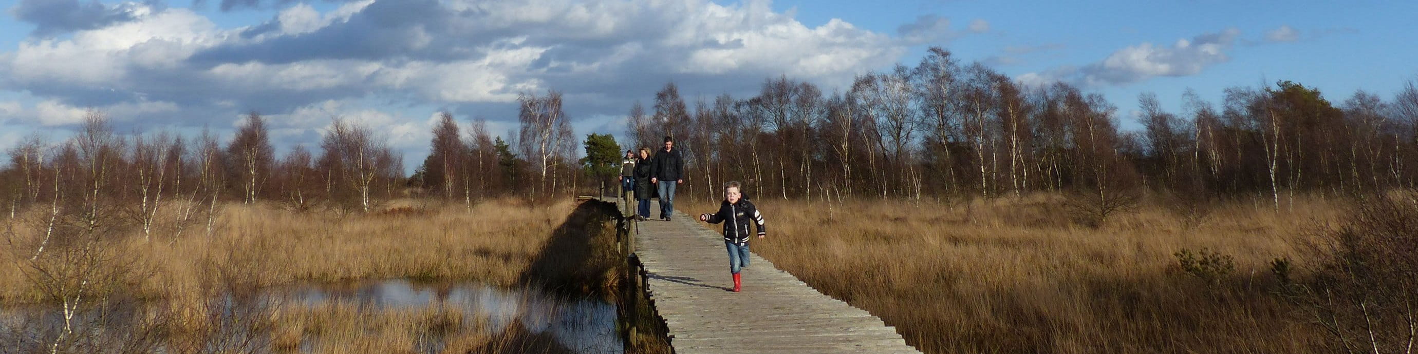 Activiteiten in De Pelen