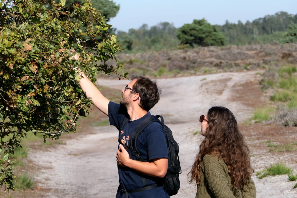 Groepsuitjes in De Pelen