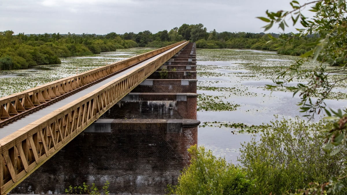 Boswachterspad Bruggenroute Moerputten - Groene Woud